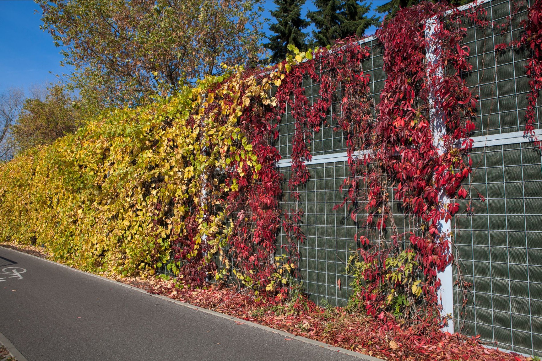 SOUND BARRIERS, HOW TO MAKE YOUR HOME AN OASIS OF TRANQUILITY