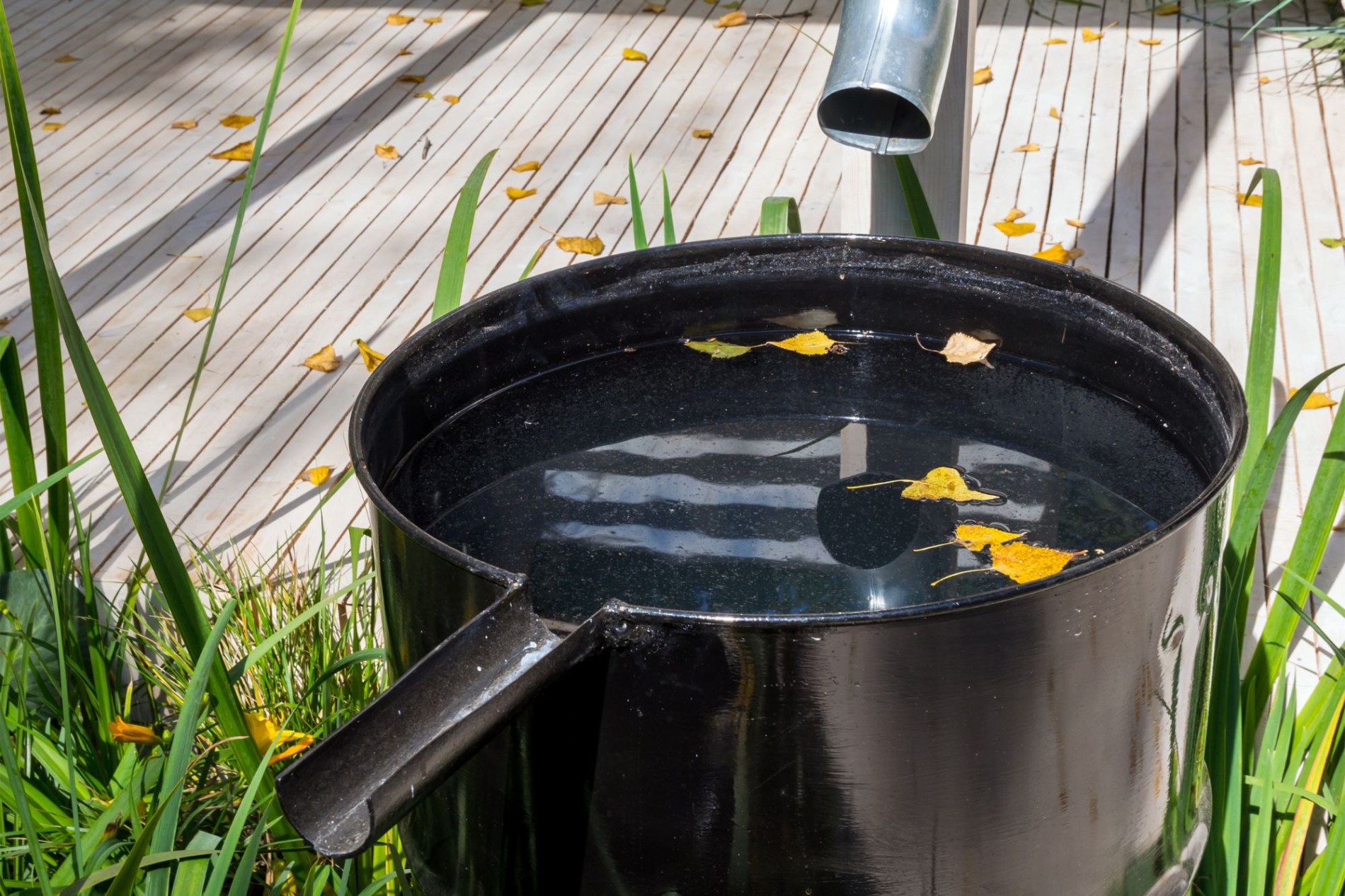 INVESTING IN THE FUTURE: HOW TO REDUCE THE ENVIRONMENTAL IMPACT OF HOMES